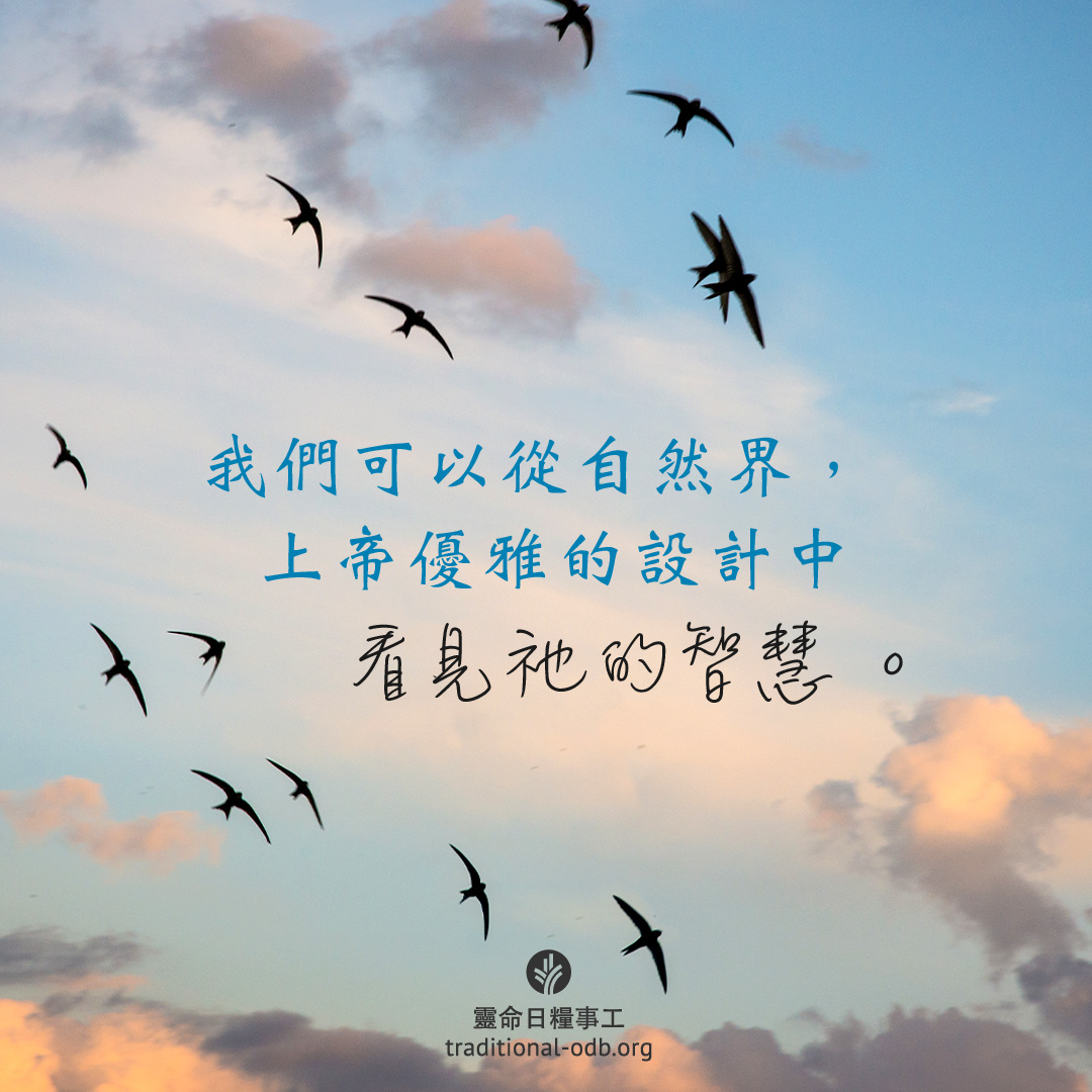 share-ctodb-2023-10-01 | 靈命日糧繁體中文網站